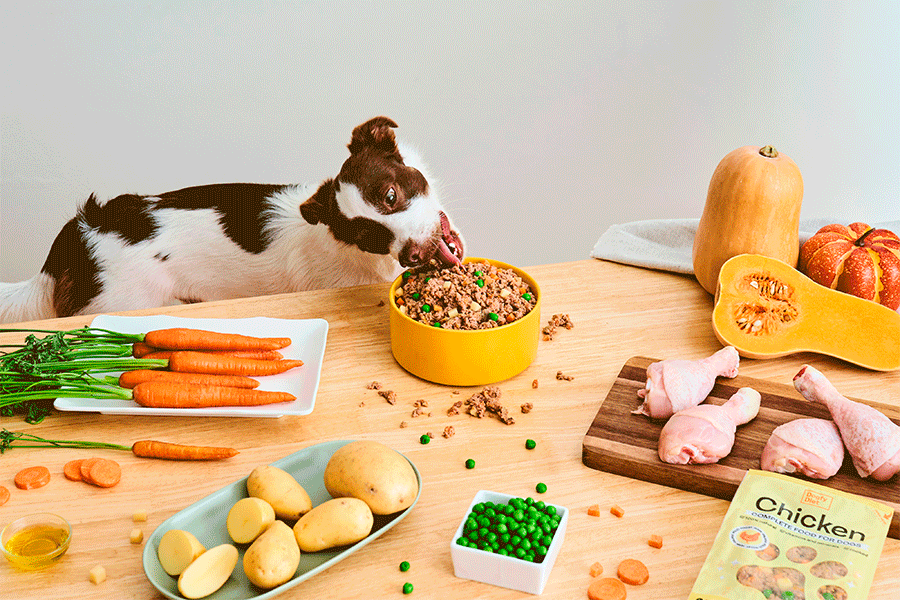 Comida natural cocinada para perros | Dogfy Diet